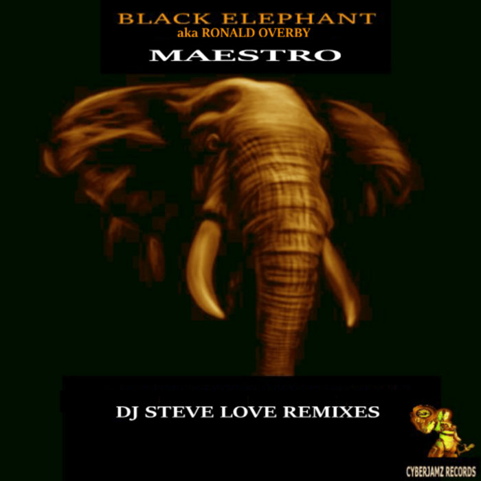 Ronald Overby aka Black Elephant - Maestro (Dj Steve Love Remix ...