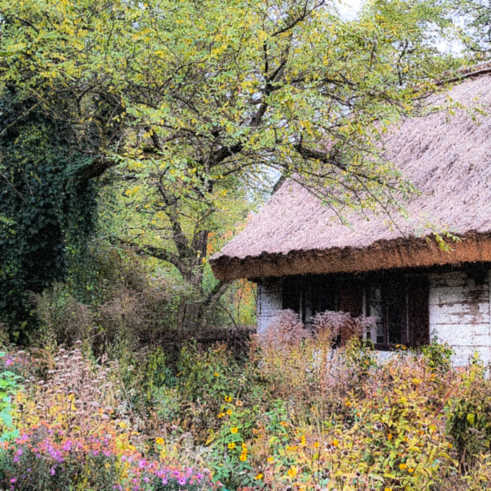 Muzyka organiczna | Bruno Janiszewski