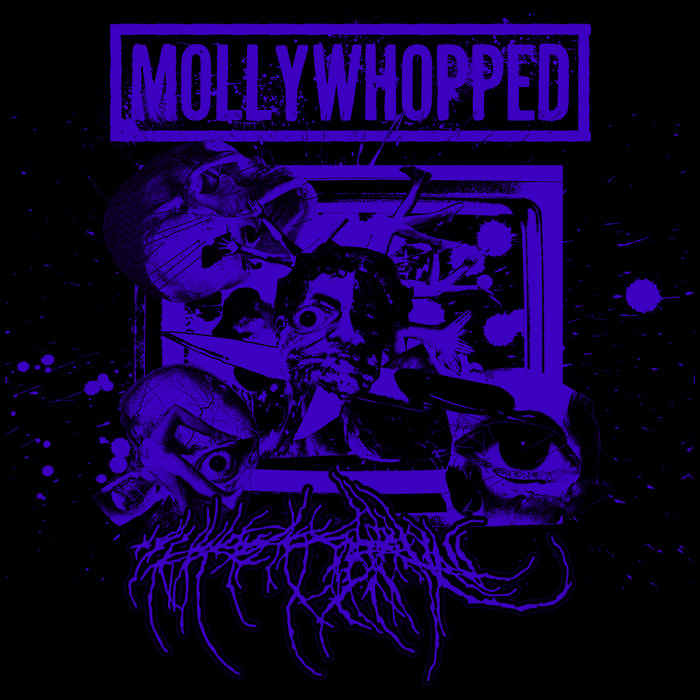 MOLLYWHOPPED SPLIT | äffordable housing