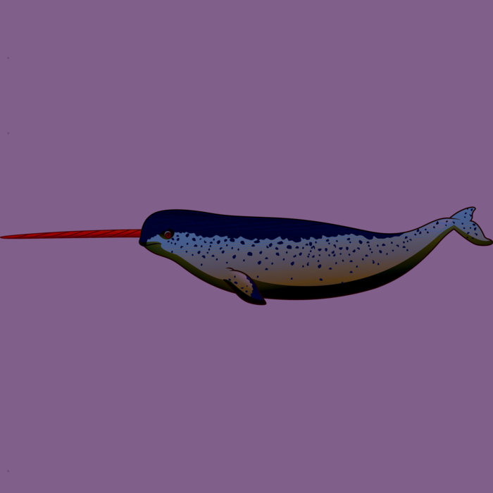 Eye of Narwhal | Toby Walker