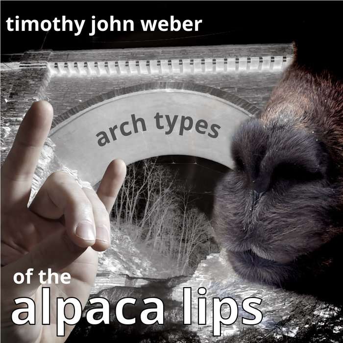 arch types of the alpaca lips | timothy john weber