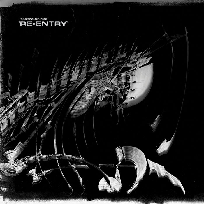 Re-Entry (2023 Remaster) | Techno Animal