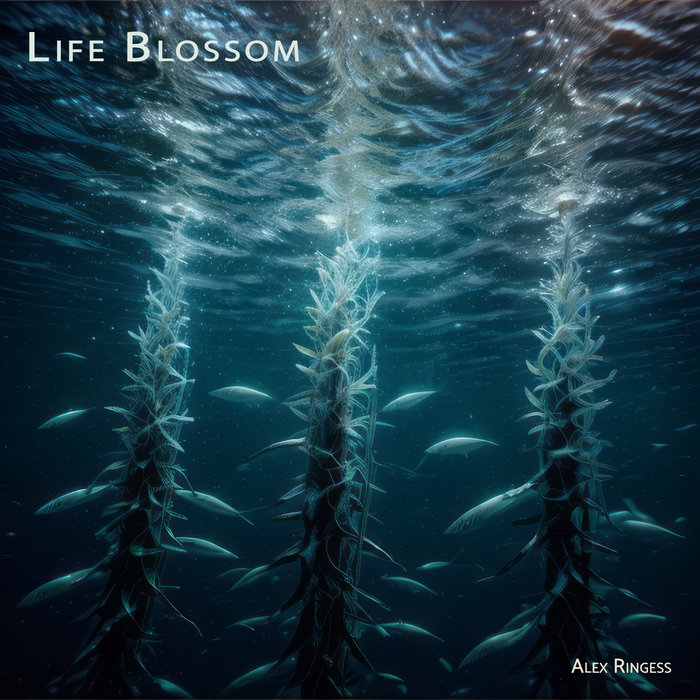 Life Blossom | Alex Ringess