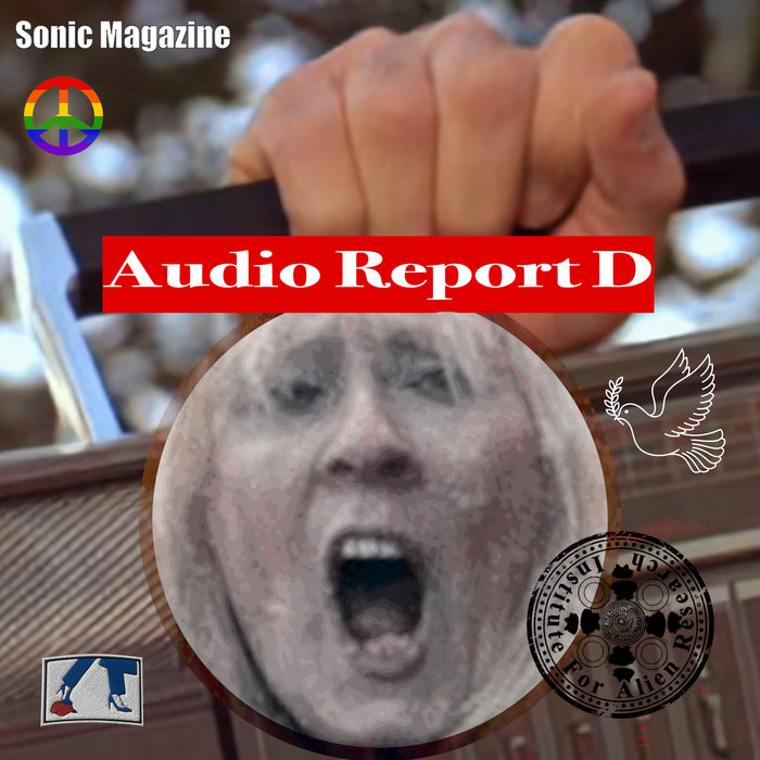 Audio Report D | various | Institute For Alien Research