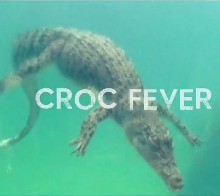 Croc Fever [single] | Larry T Hill