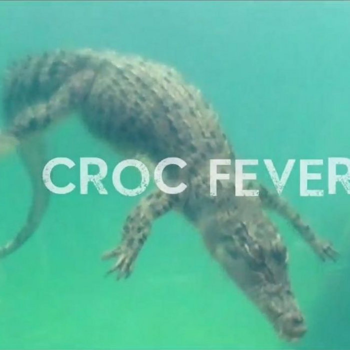 Croc Fever [single] | Larry T Hill