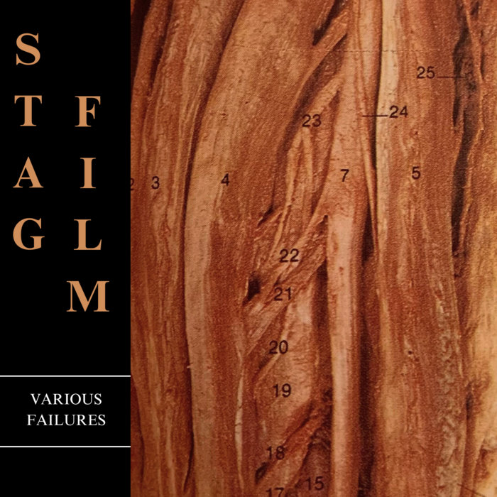 Various Failures | Stag Film