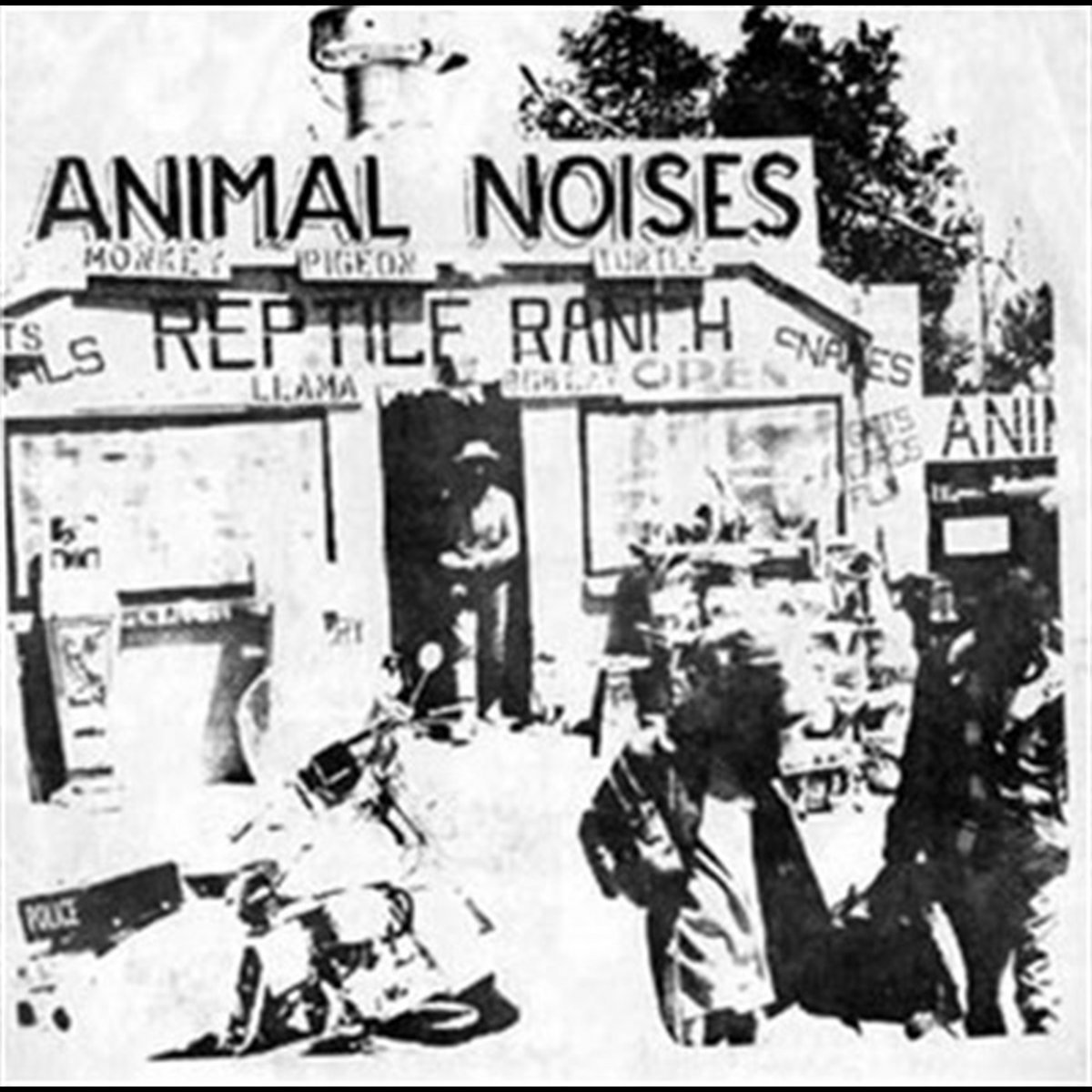 Animal Noises | Reptile Ranch