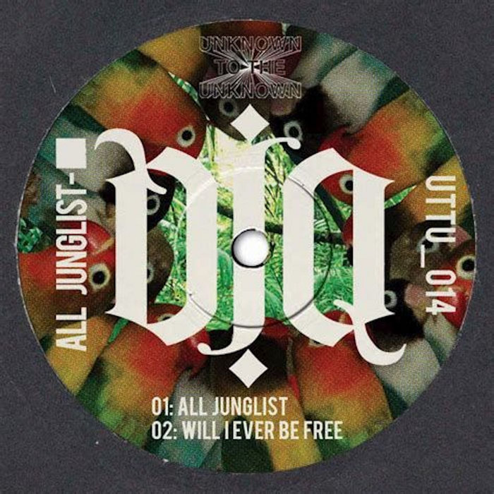 All Junglist | DJ Q
