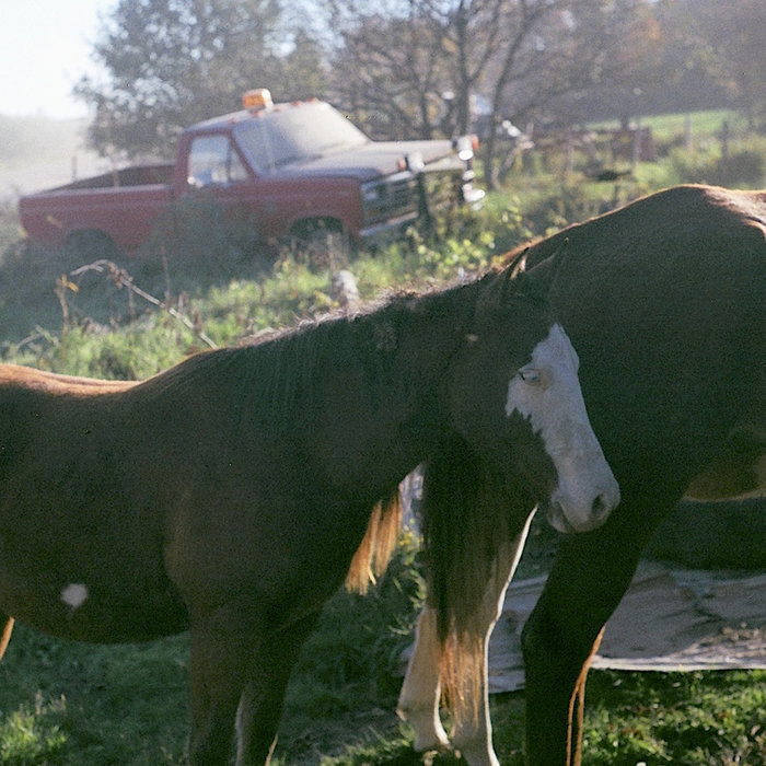 cowboy demos | felicia