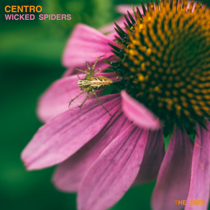 Wicked Spiders | Centro | The Seed Underground