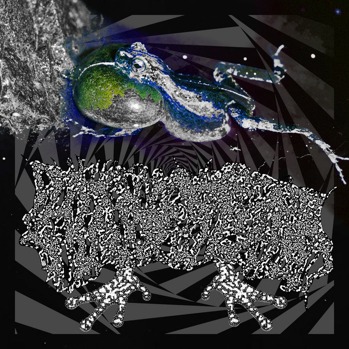The Deflowering Of Concrete | Phyllomedusa