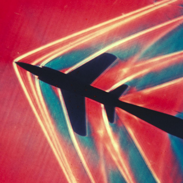 Skeleton Rings | Catch, Catch Perfect