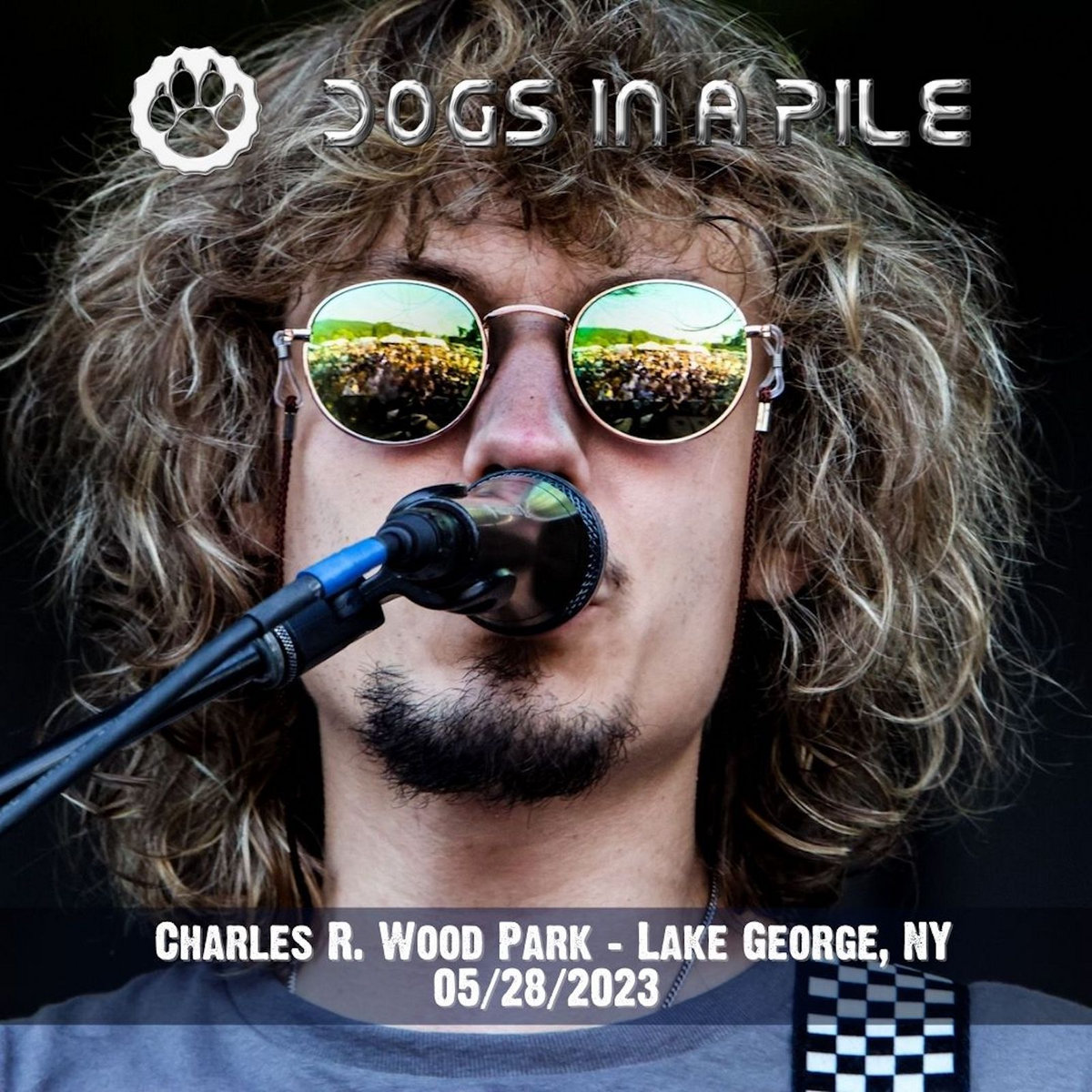 05/28/23 - Charles R. Wood Park - Lake George, NY | Dogs In A Pile