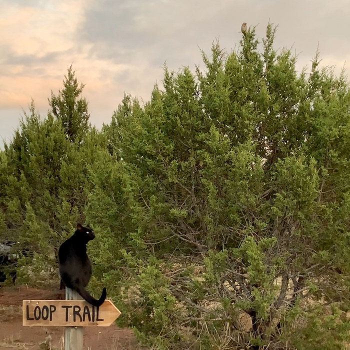 loop trail | horosphere