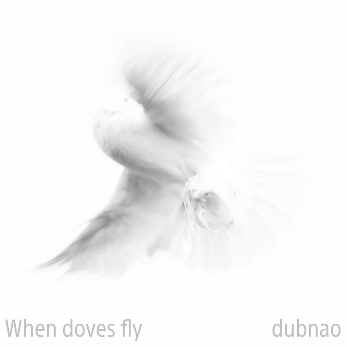 When Doves Fly | dubnao