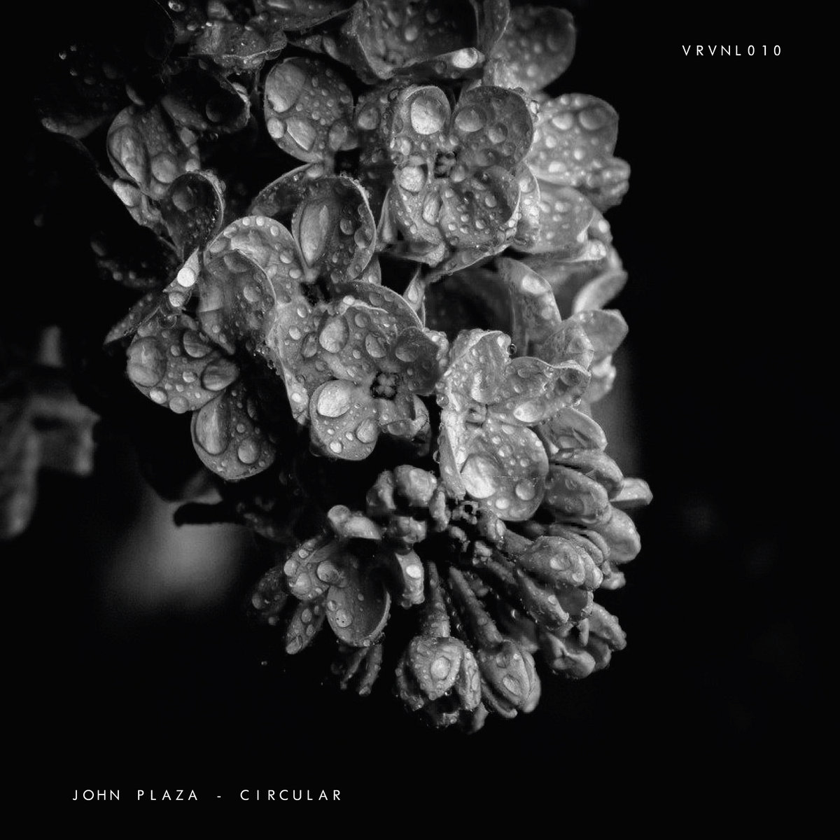 Circular | John Plaza | Virescence Records