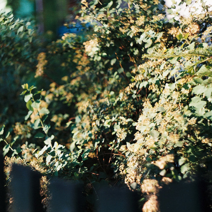 Oblivion Overlapped | Bruno Janiszewski