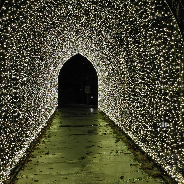 Realities That Flow (Compilation) | Seeth McGavien | The Seeth One