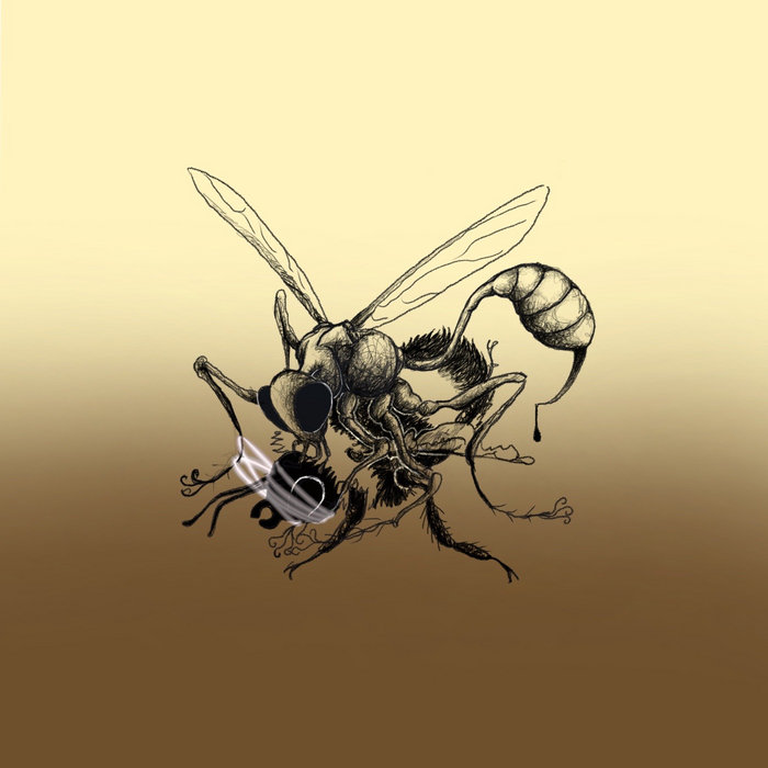 The Betrayal of Bees & Wasps | MEGAFAUNA