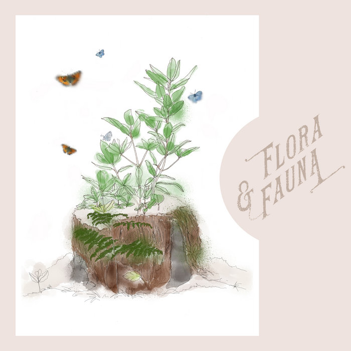 Flora & Fauna | Michael Dornan Music