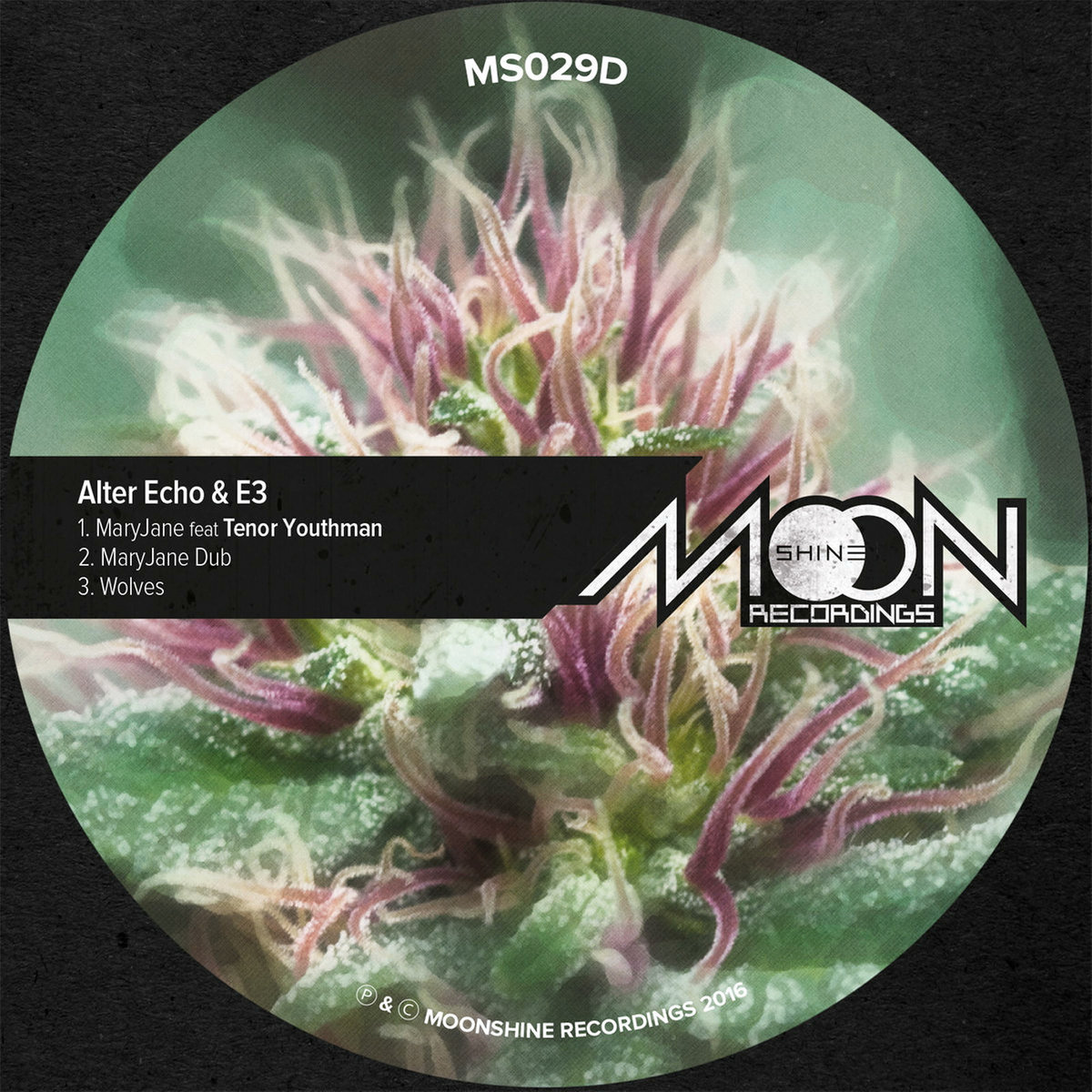 Mary Jane / Wolves | Alter Echo & E3
