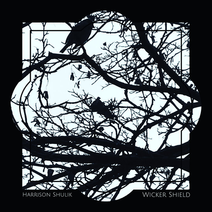 Wicker Shield | Harrison Shulik