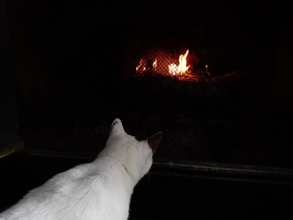 Hoverbot vol. 4 | hoverman