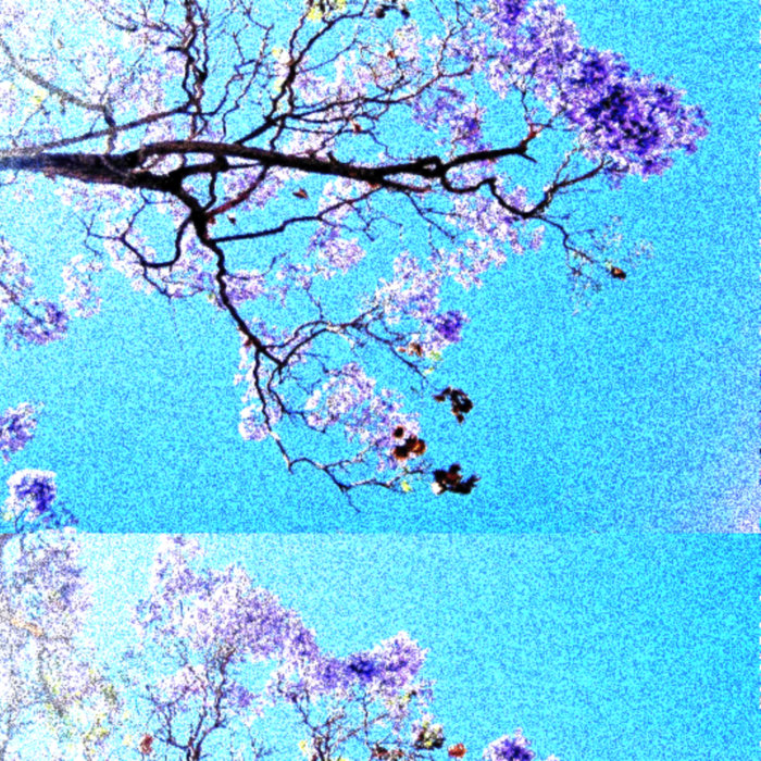 Riverside | The Joint Hoppers