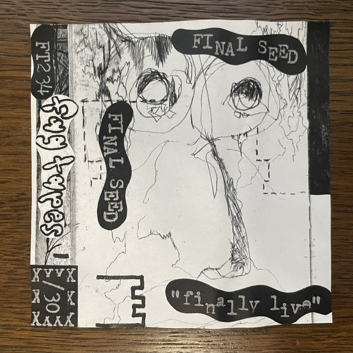 Finally Live | Final Seed | FAG TAPES / ANTARTICA