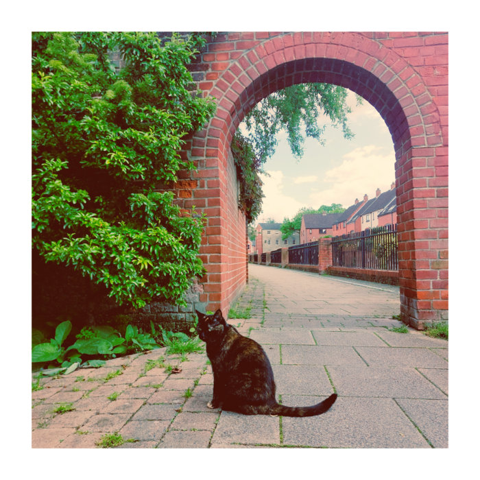 Chugging Along | Michel Lowery