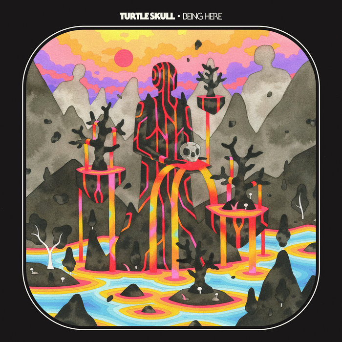 Modern Mess | Turtle Skull