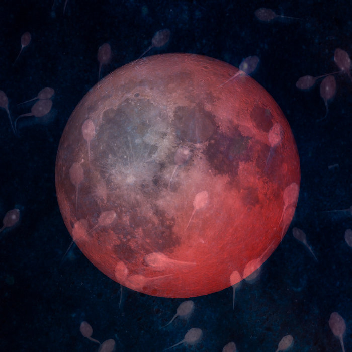 Nine Rays Of Moonshine | Tadpoles