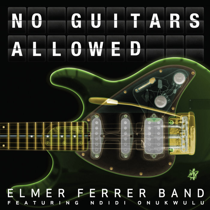 No Guitars Allowed | Elmer Ferrer
