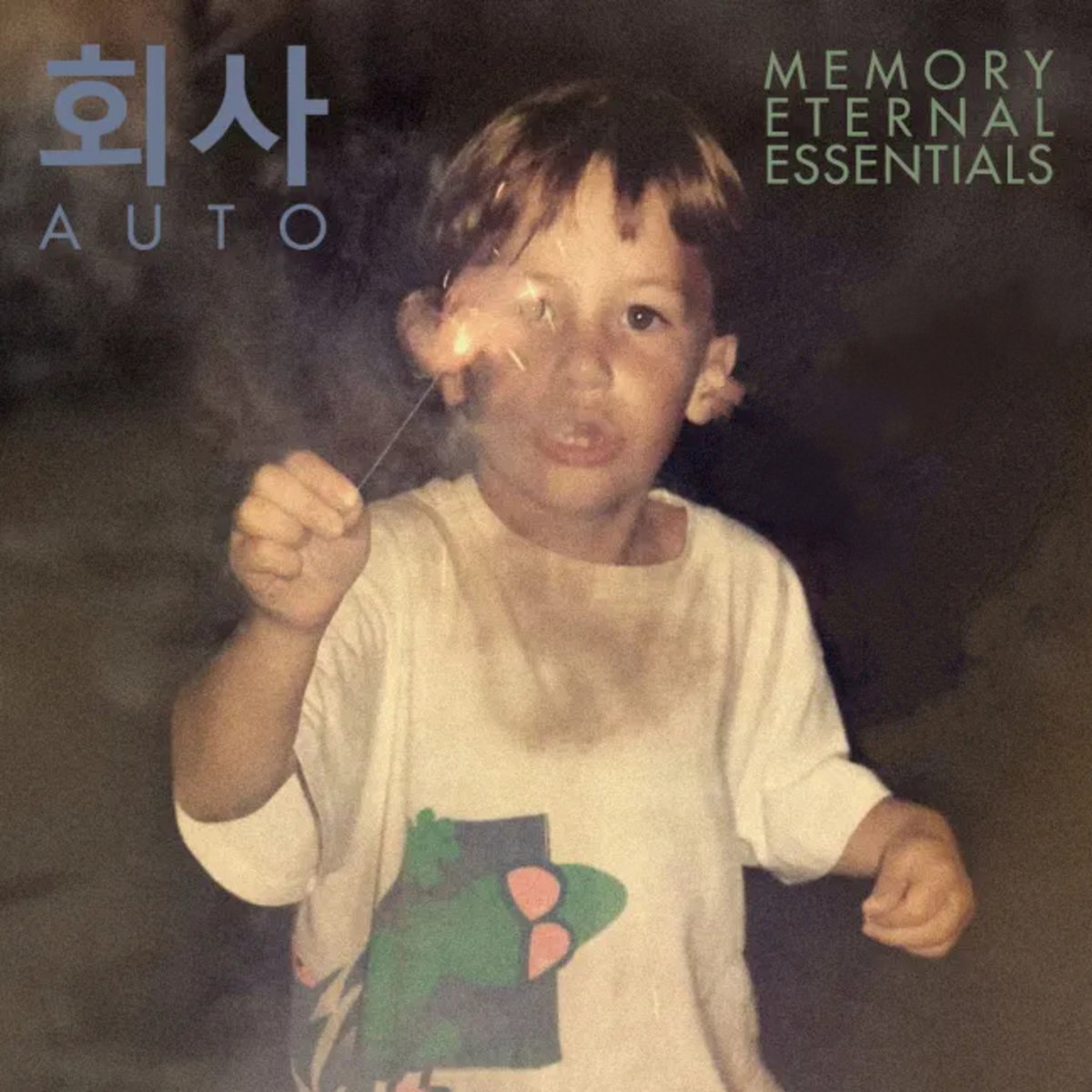 Memory Eternal Essentials | 회사AUTO