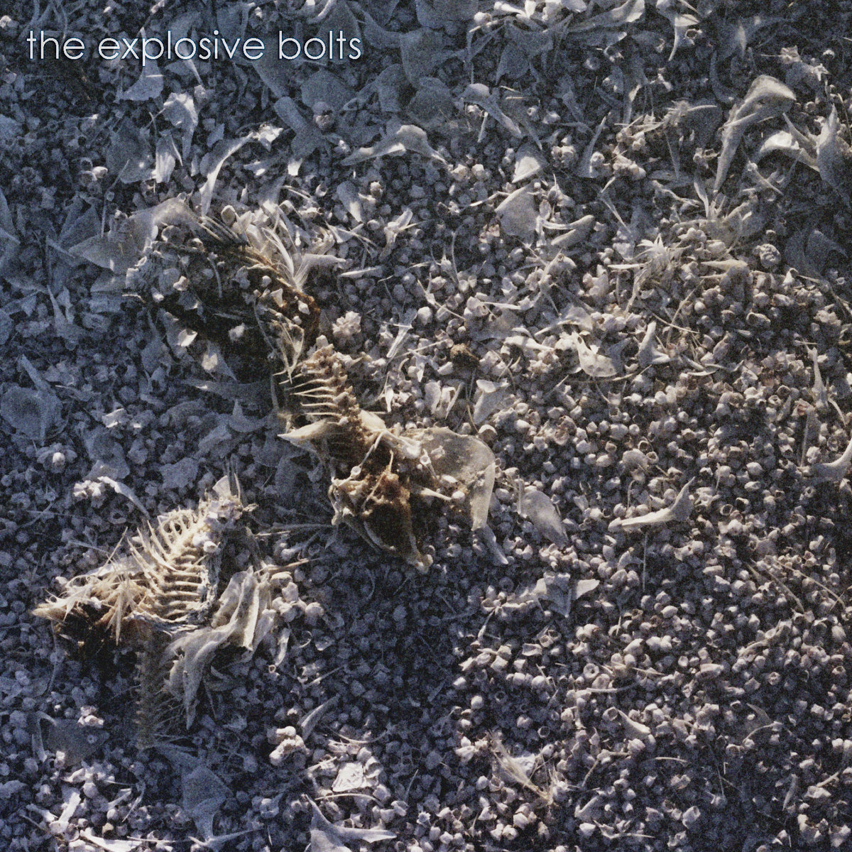 The Explosive Bolts | the explosive bolts