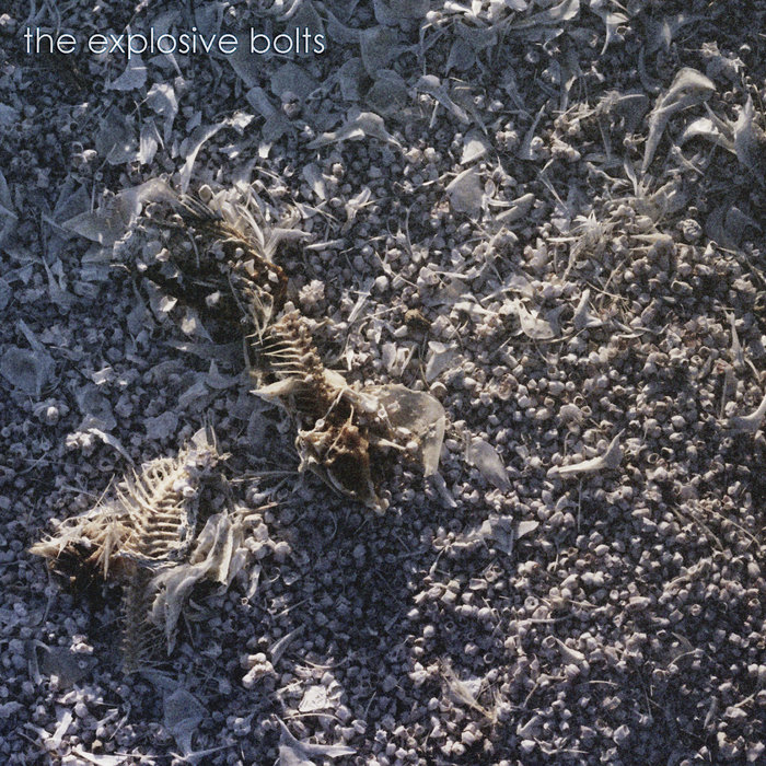 The Explosive Bolts | the explosive bolts