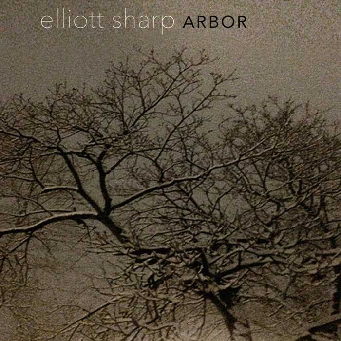 Arbor | Elliott Sharp
