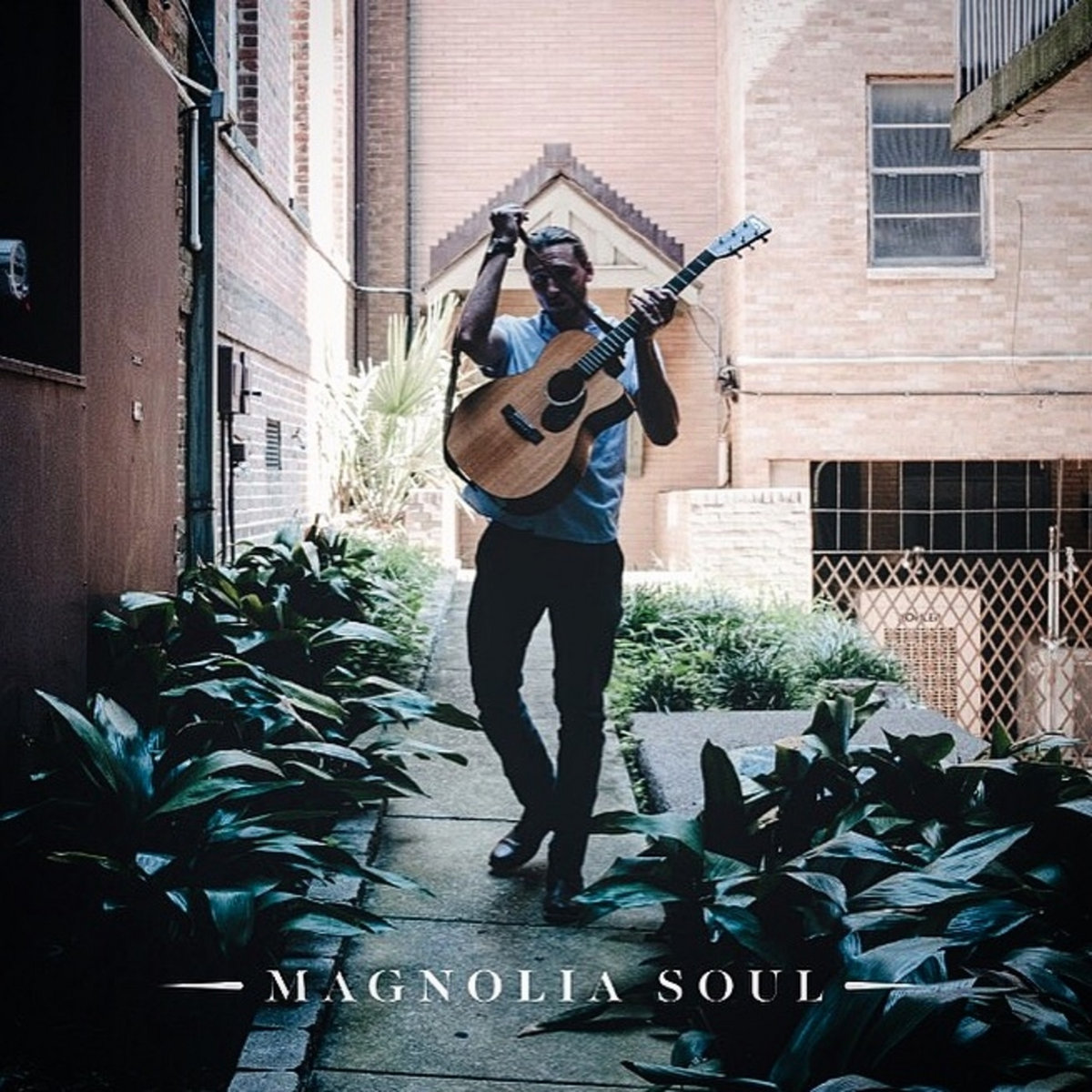 Magnolia Soul | Seth Power