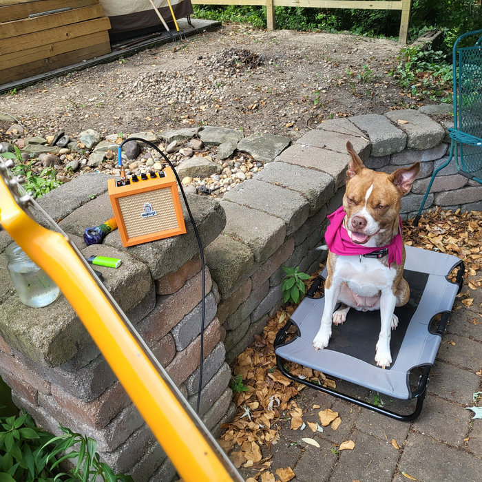 Noafey Loafey | Nate LP | The LP