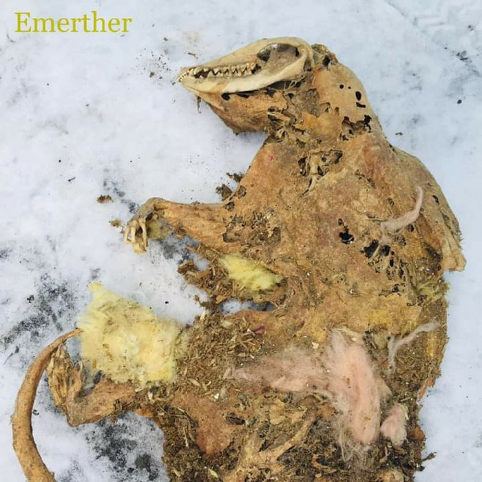 Demonstrations | EMERTHER