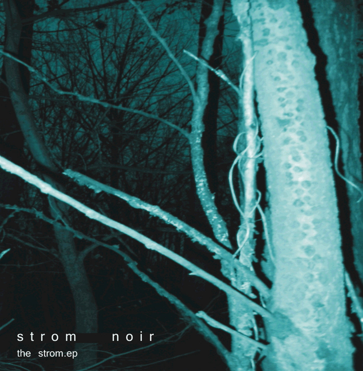 The Stromep 2007 Strom Noir 4828