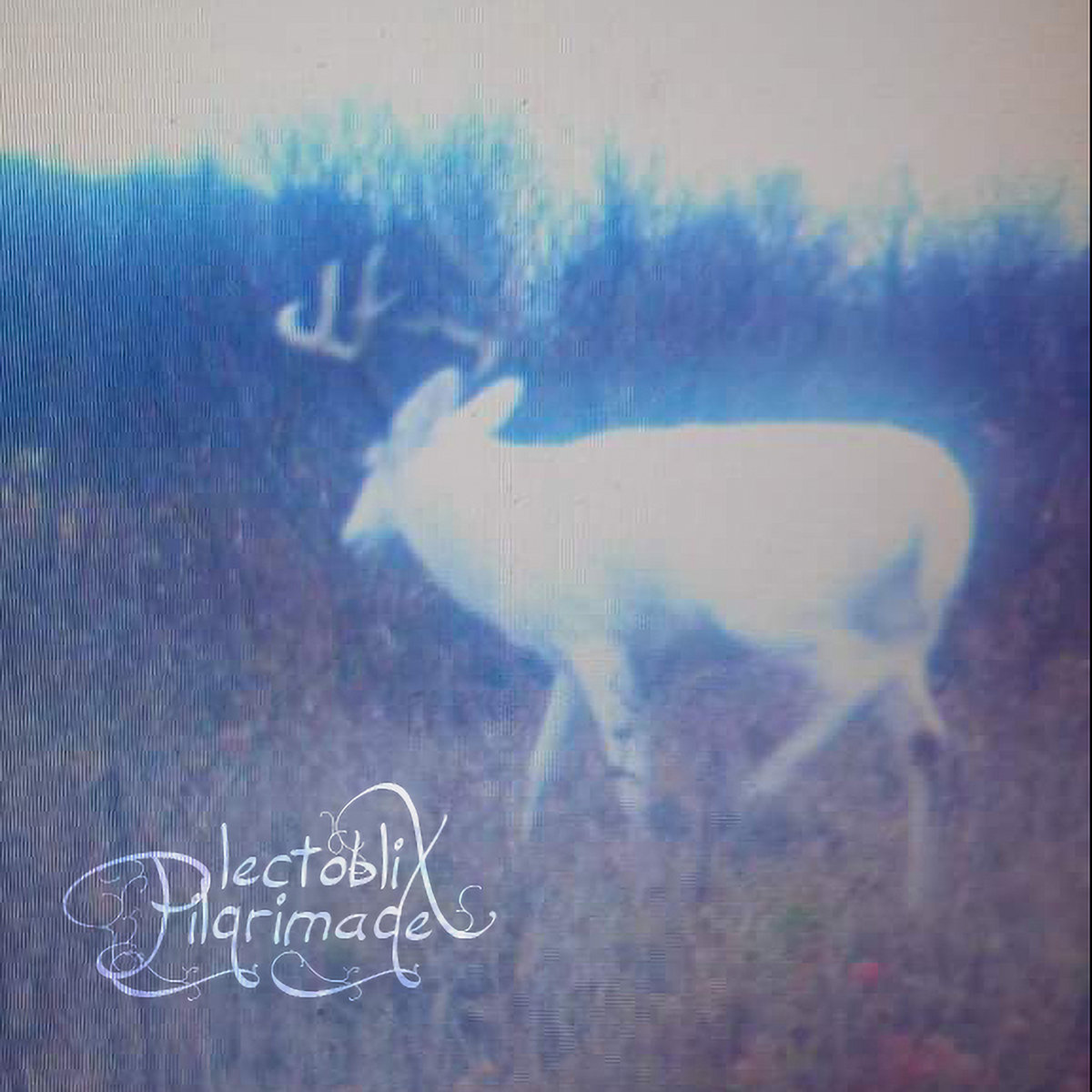 Pilgrimage | Lectoblix | Dungeon Squid Productions