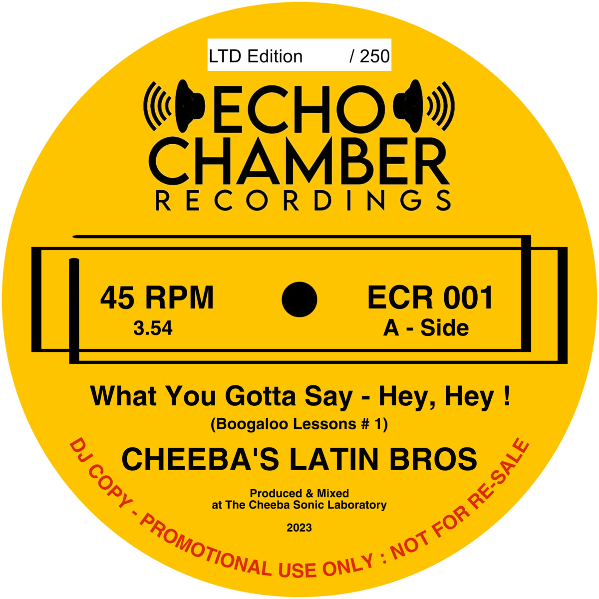 What You Gotta Say (Hey, Hey!) - Boogaloo Lesson -1 | Cheeba’s Latin Bros