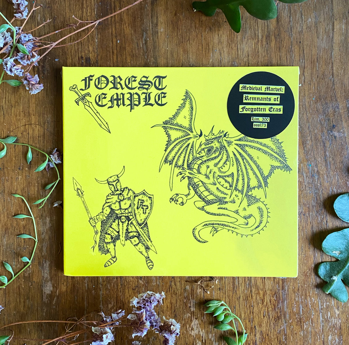 Medieval Marvel: Remnants of Forgotten Eras | Forest Temple | COSMIC OCEAN