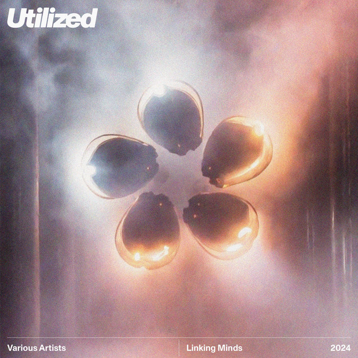 Linking Minds | Utilized