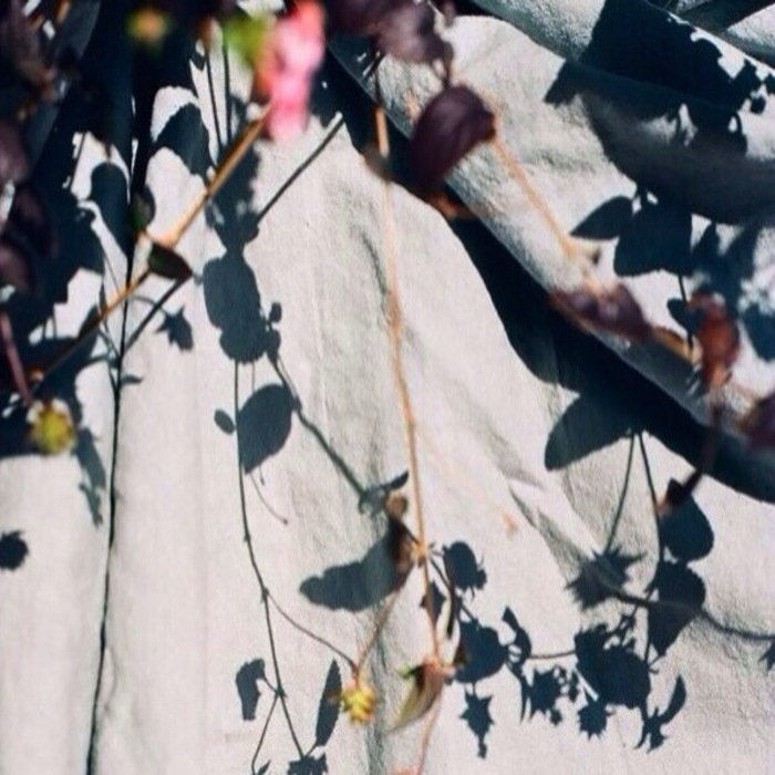 Leaf Tape | RSNZ