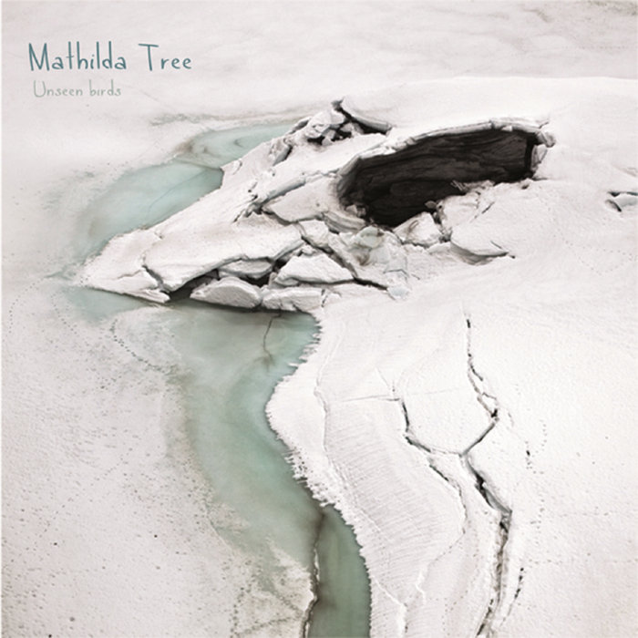 Unseen Birds | Mathilda Tree | MATHILDA TREE