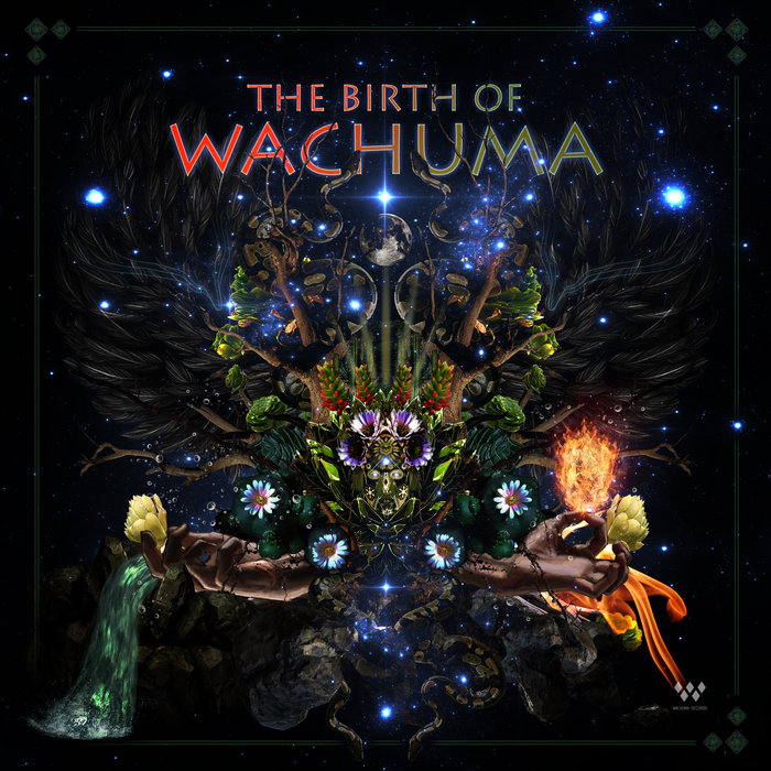 VA - The Birth Of Wachuma | Wachuma Records
