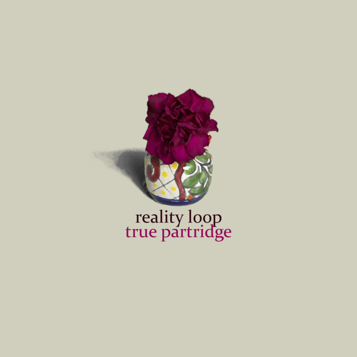 Reality Loop | True Partridge